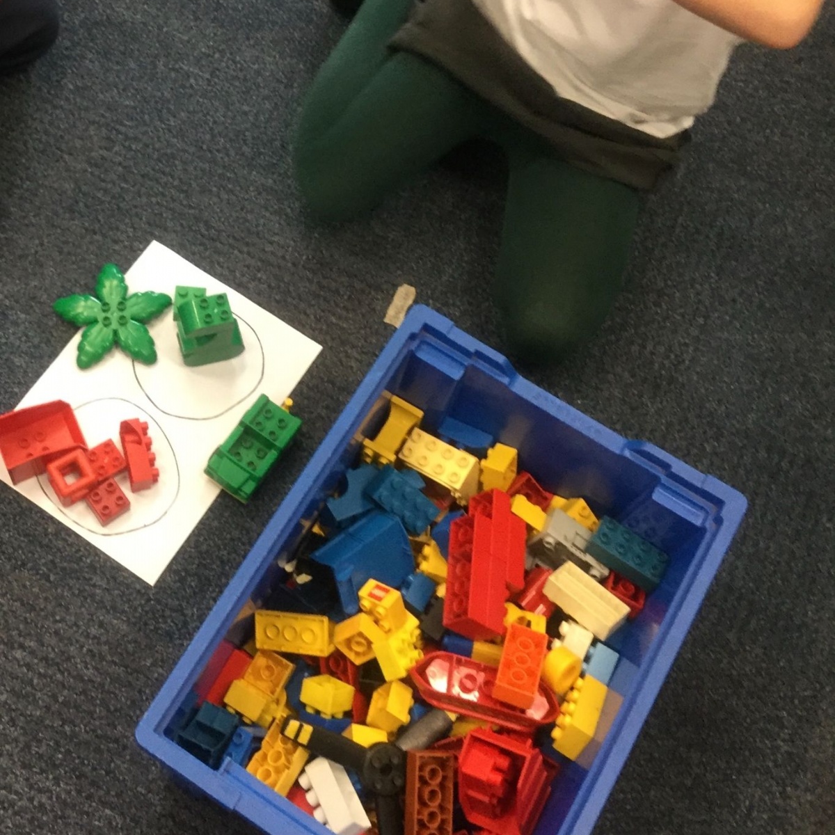 Sheen Mount Primary - Assemblies, sorting and History!